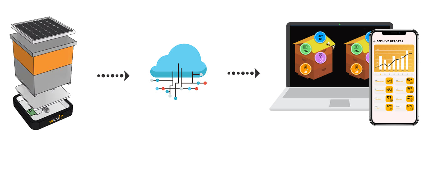 World's Best Smart Beehive Monitoring System - Gobuzzr